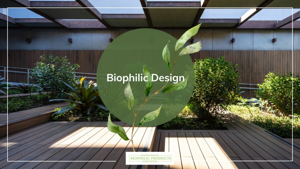 What Biophilic Design is: concept, examples, materials, and ...