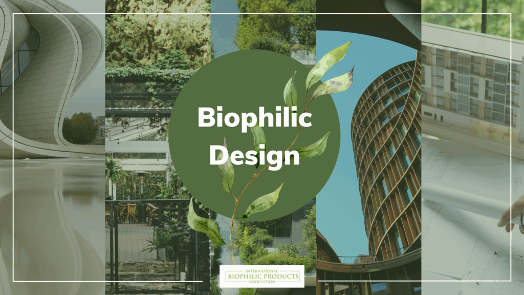 What Biophilic Design is: concept, examples, materials, and ...
