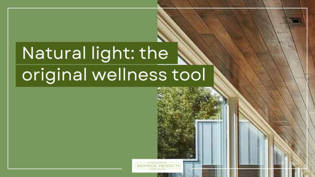 Natural light: the original wellness tool - Biophilic Products