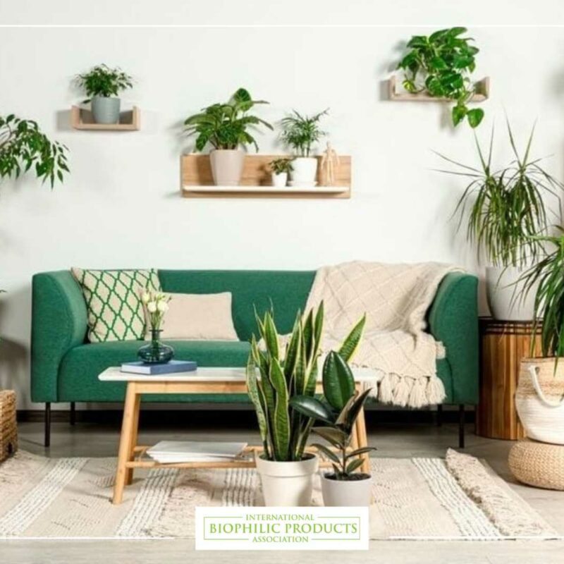 What Biophilic Design is: concept, examples, materials, and ...