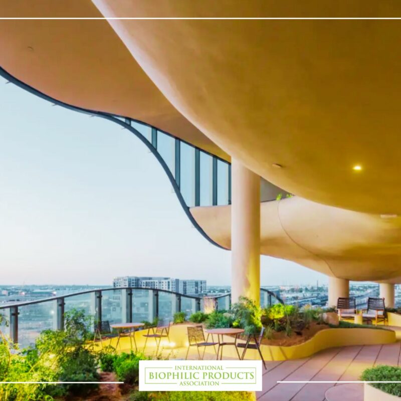 What Biophilic Design is: concept, examples, materials, and ...