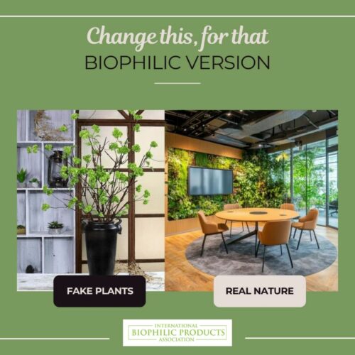 What Biophilic Design is: concept, examples, materials, and ...