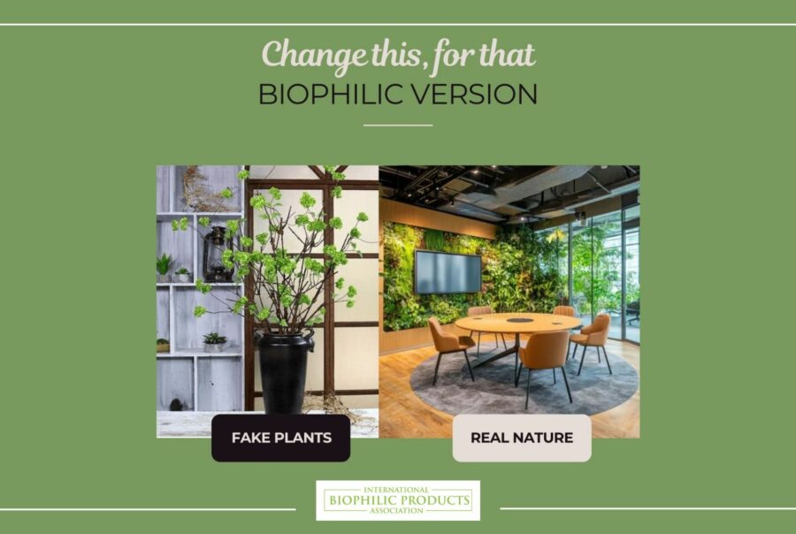 What Biophilic Design is: concept, examples, materials, and ...
