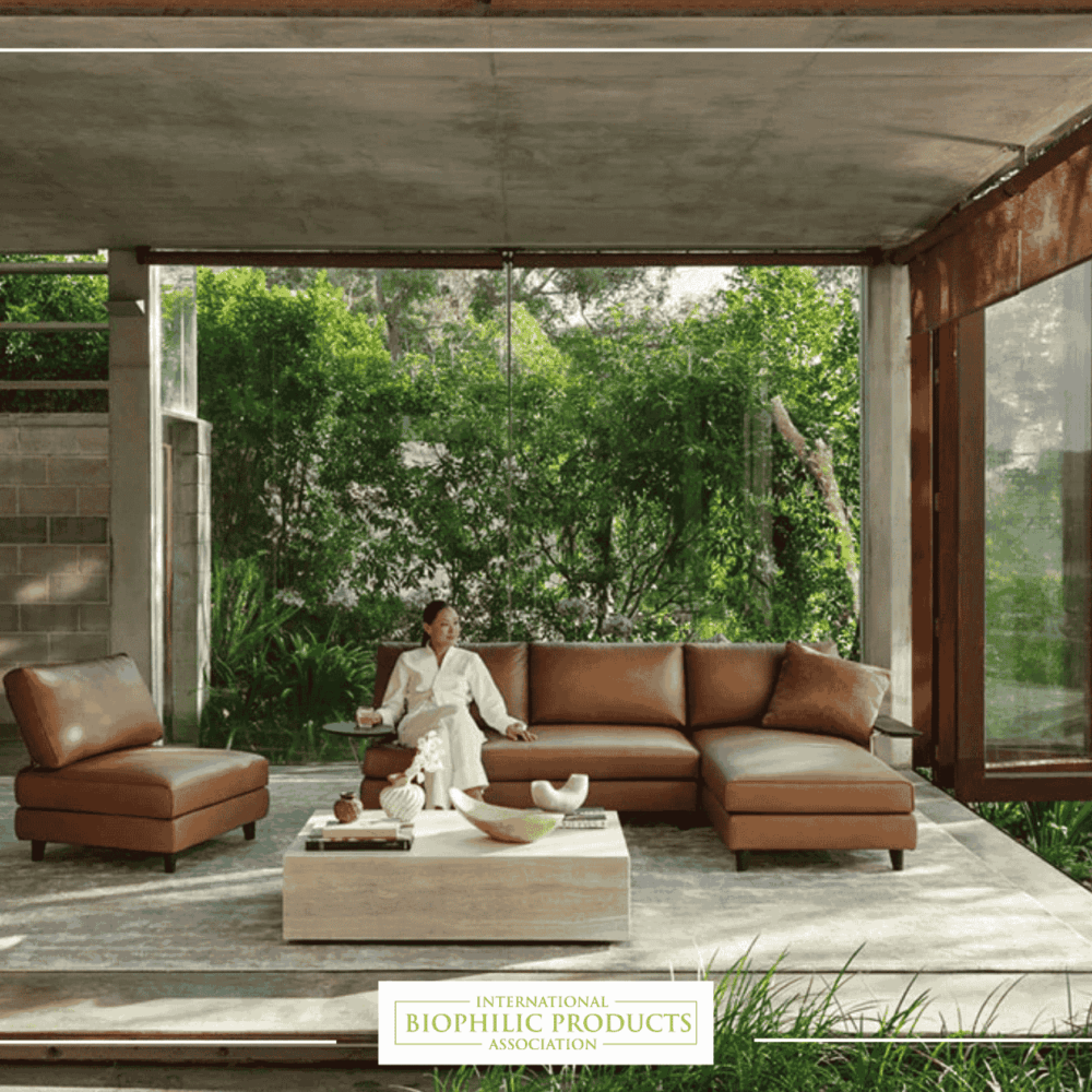 What Biophilic Design is: concept, examples, materials, and ...