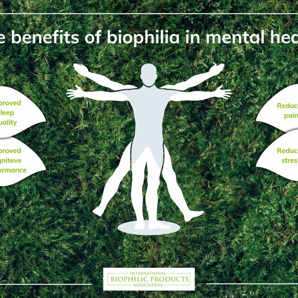 What is Biophilia? - Biophilic Products