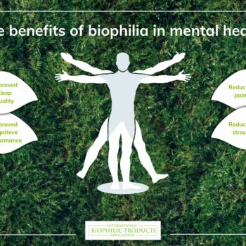 What is Biophilia? - Biophilic Products