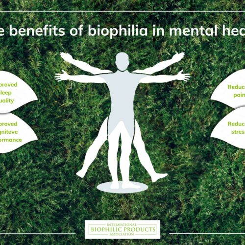 What is Biophilia? - Biophilic Products