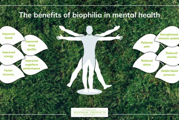 Biophilic design: the power of plants - Biophilic Products