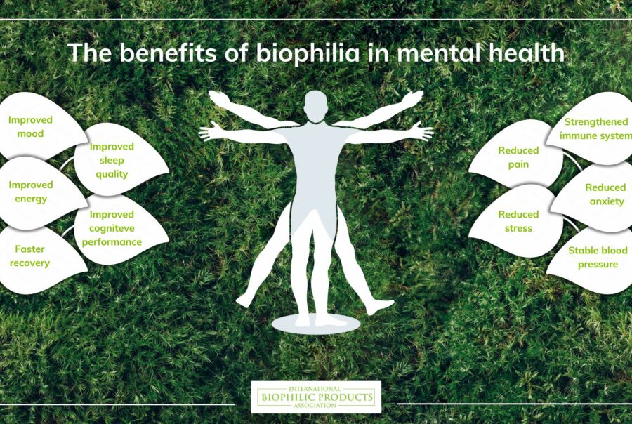 What is Biophilia? - Biophilic Products