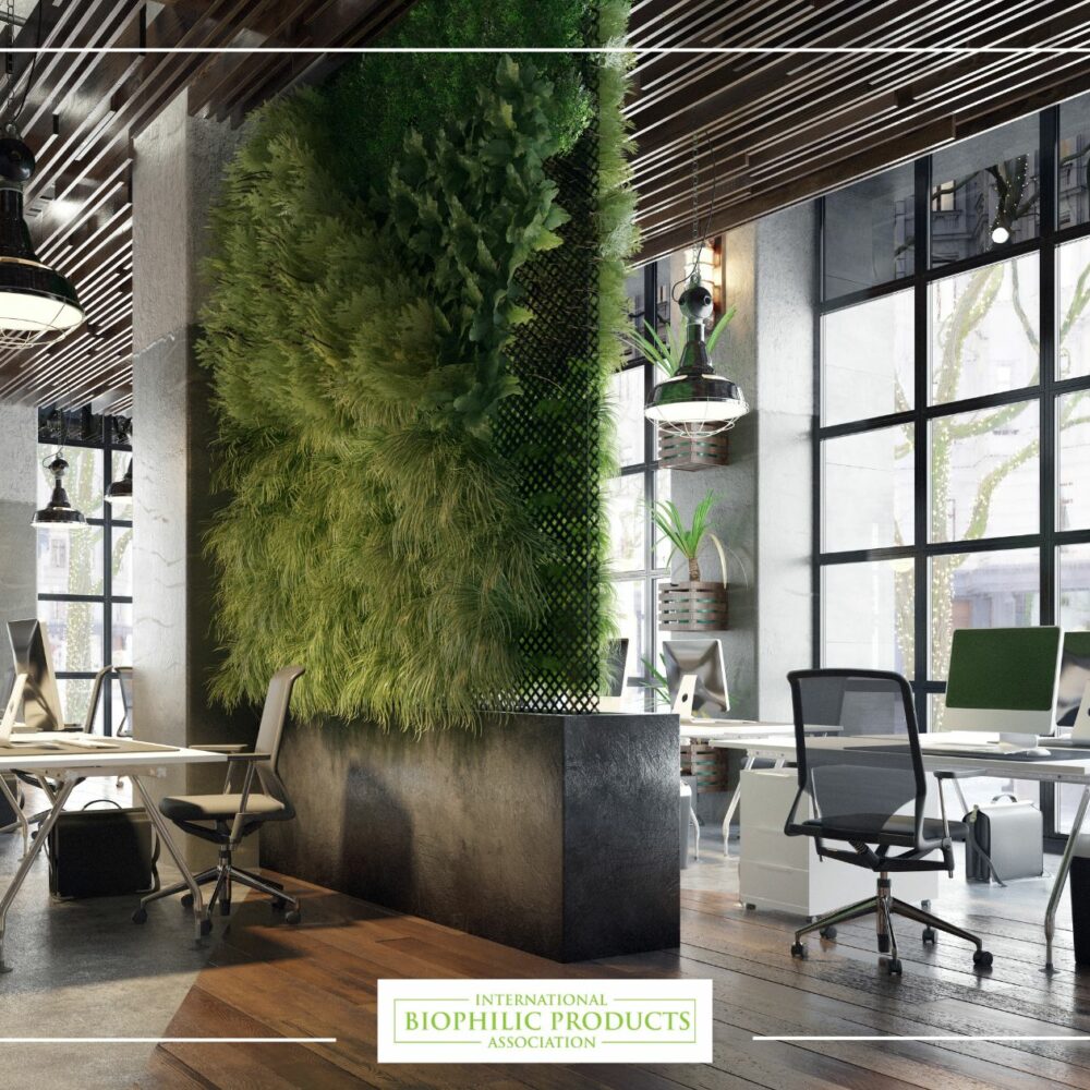 What is Biophilia? - Biophilic Products